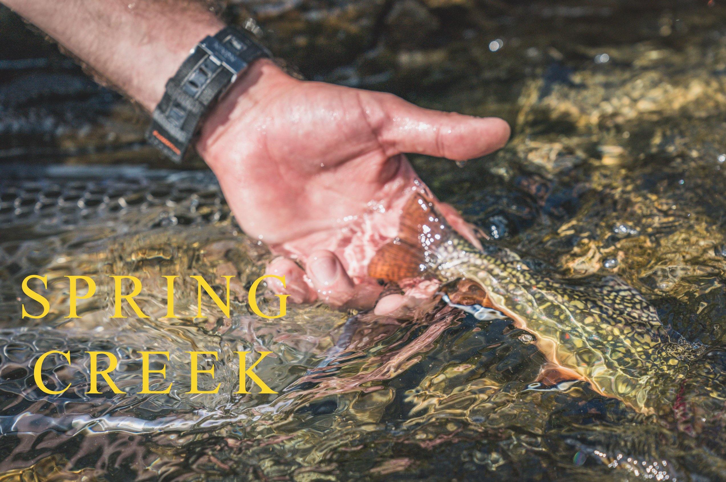 Fishing a Small Spring Creek with a Bull Moose