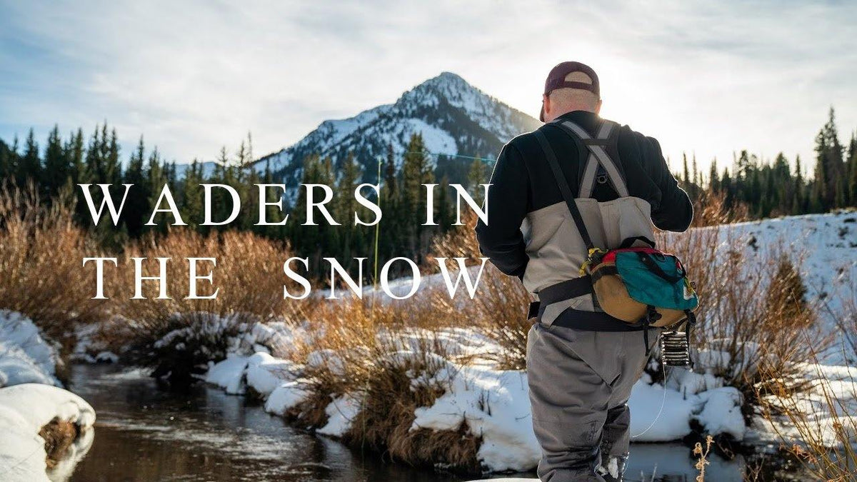 Waders in the Snow - Early Winter Tenkara Fishing