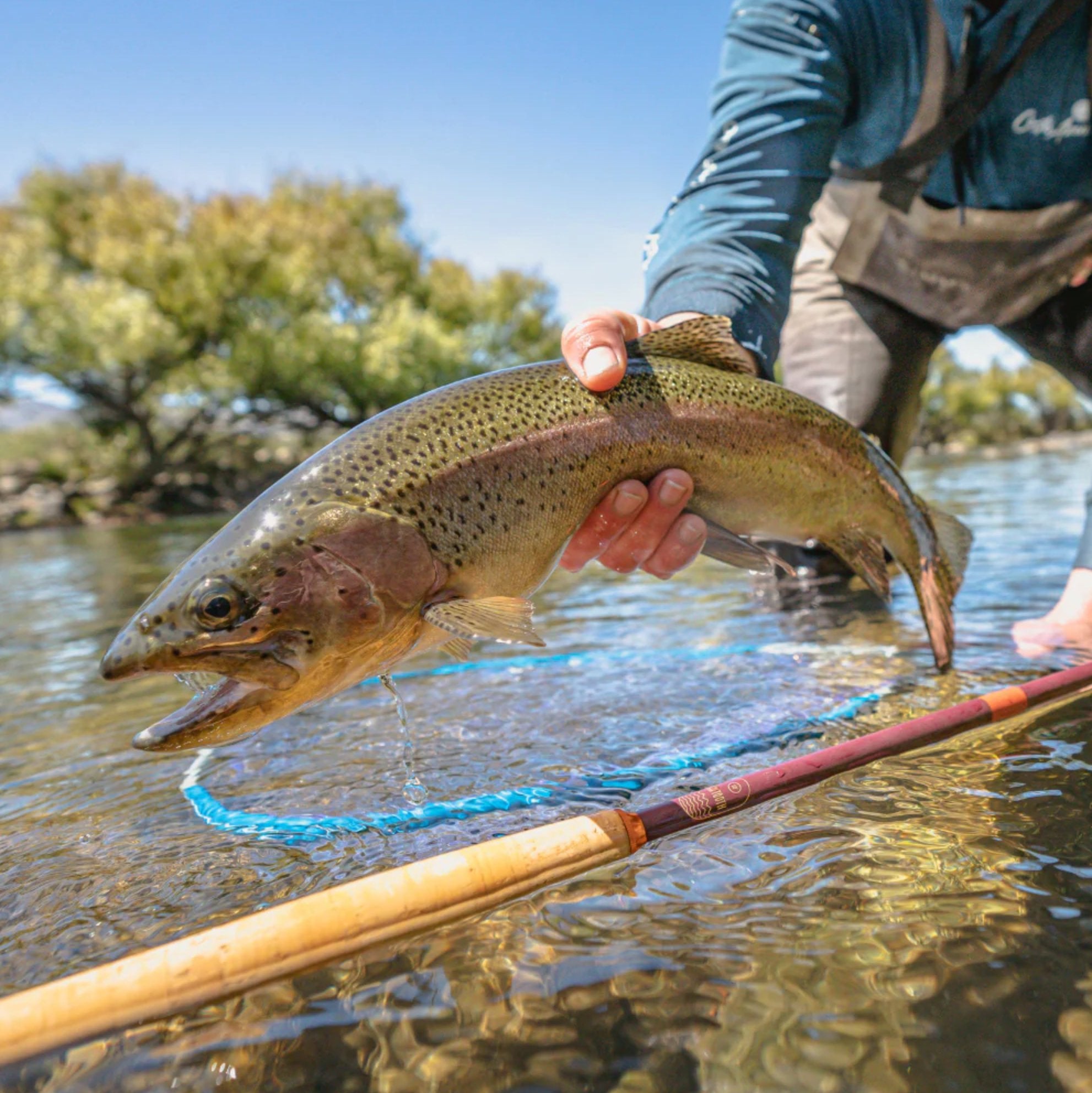 Explore an Exceptional Range of Tenkara Rods for Precision & Performance